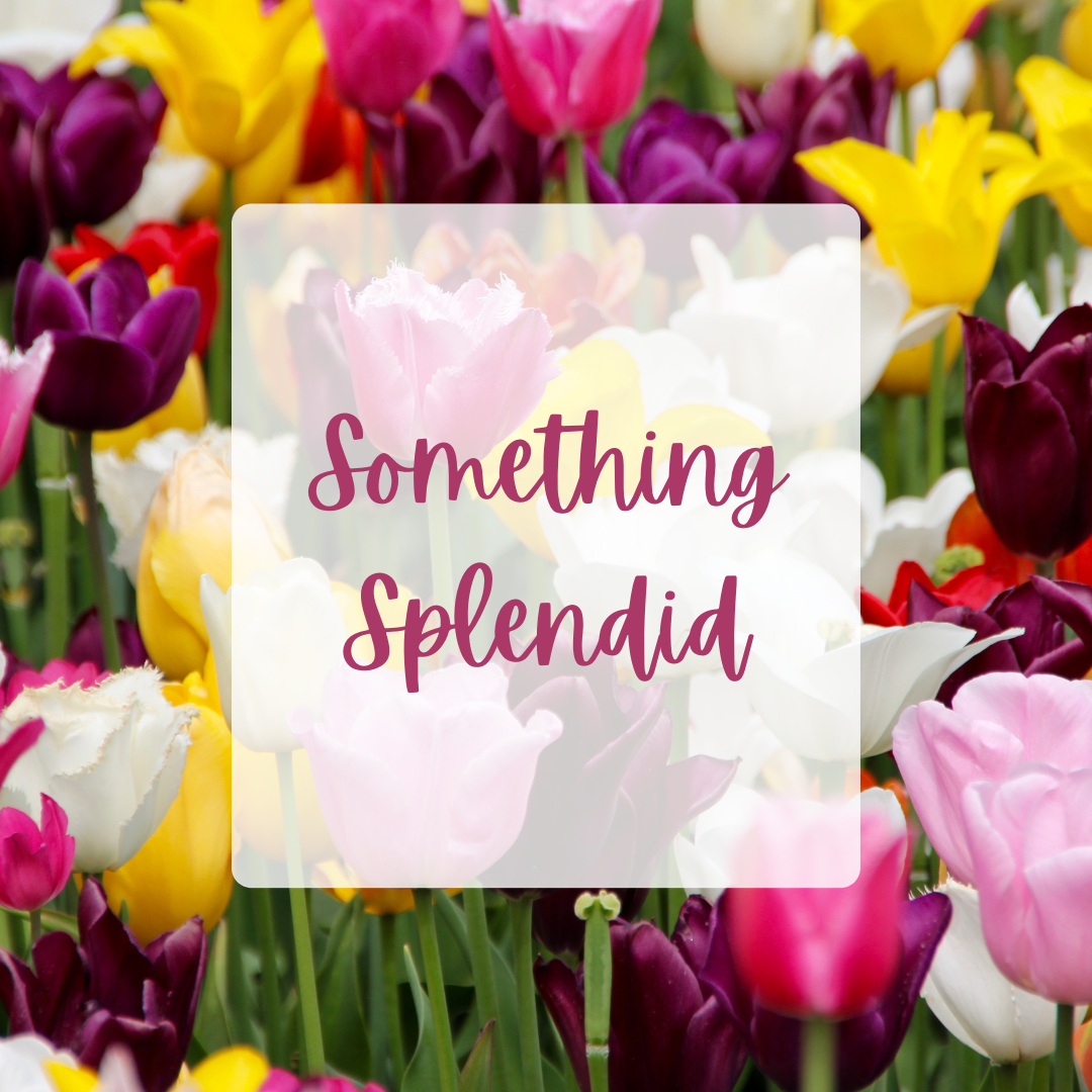 about - Something Splendid